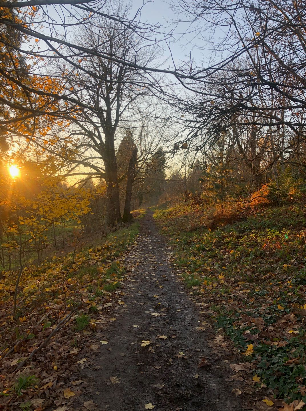 Events – Rose City Bluff Restoration